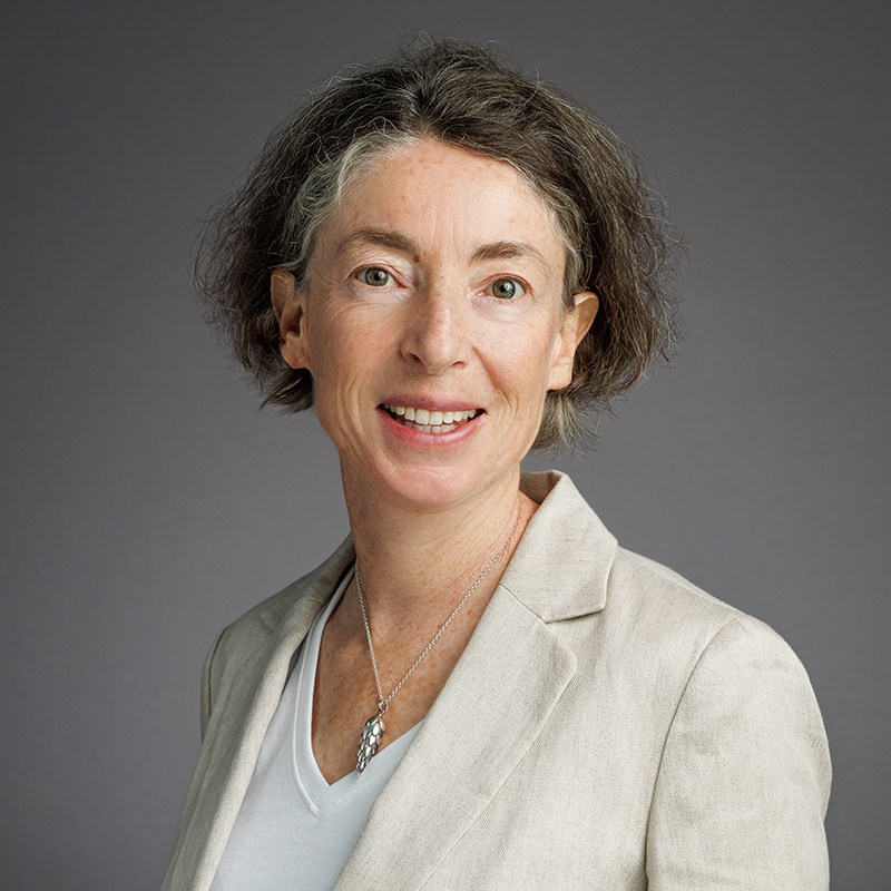 Lecturers and Visiting Faculty - Yale Jackson School of Global Affairs