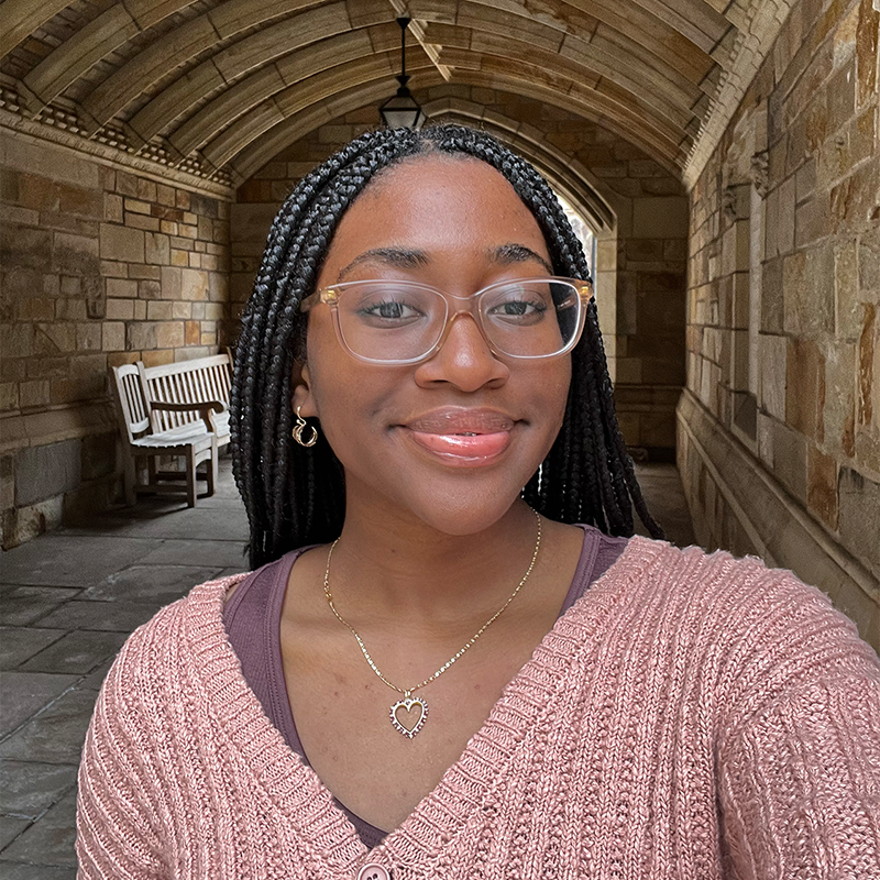 Danielle Ricketts - Yale Jackson School of Global Affairs
